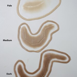 Pair of Realistic Small Prosthetic Horns encapsulated Silicone Perfect ...