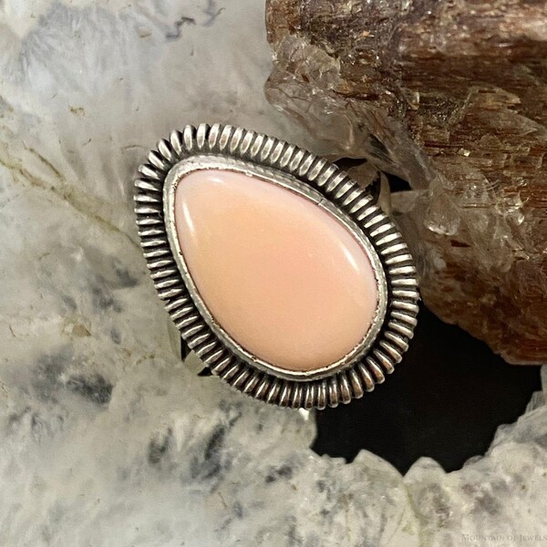 Pink Conch Shell - Etsy