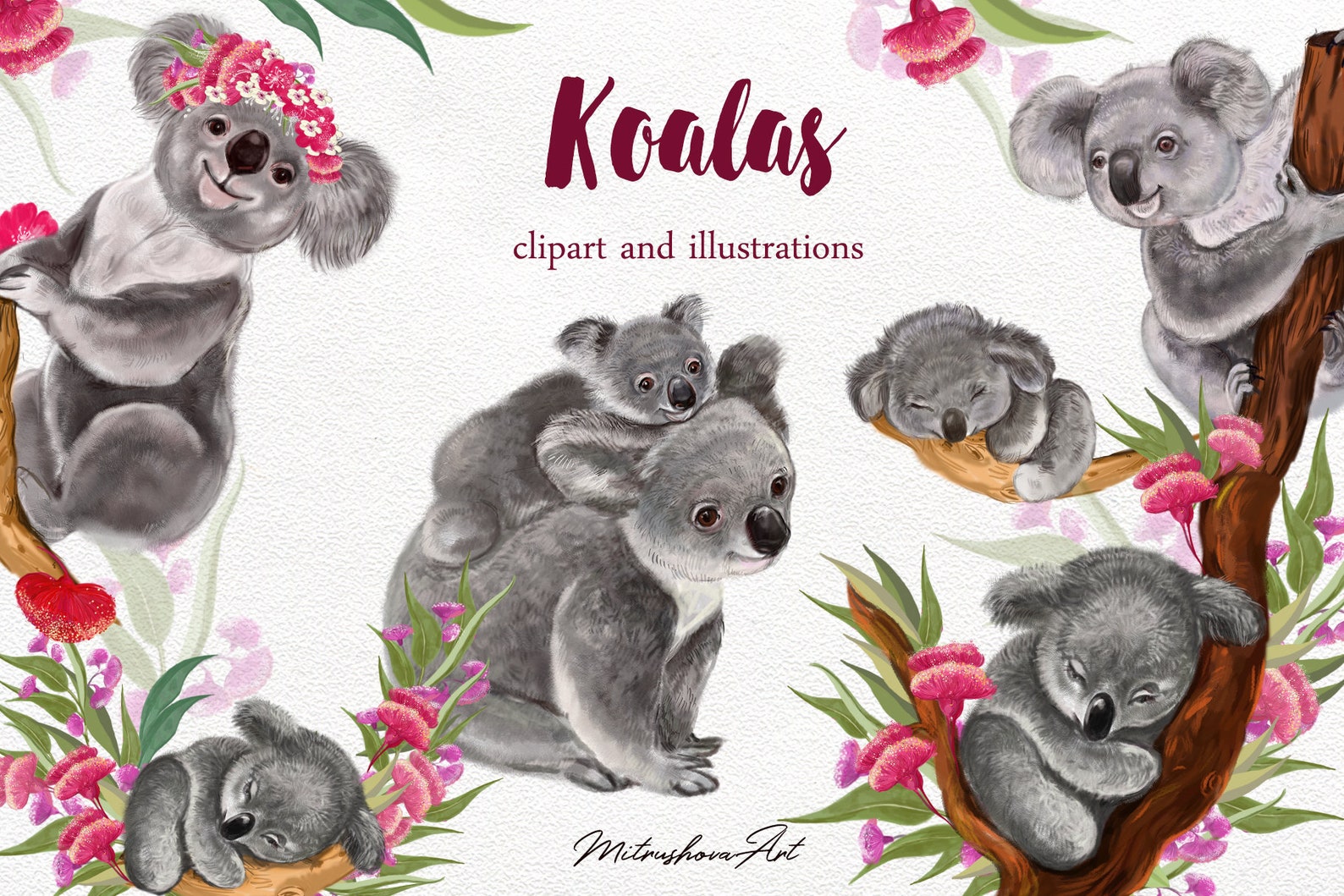 Cute Koalas Clipart Animal Clip Art PNG Australia Koalas | Etsy