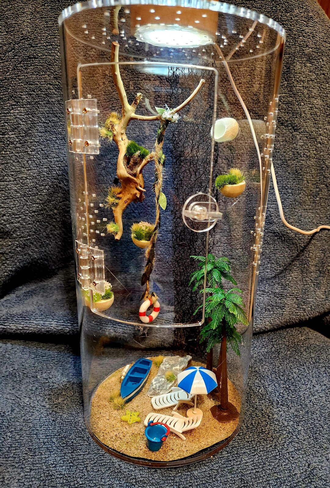 Unique Jumping Spider Enclosure - Etsy