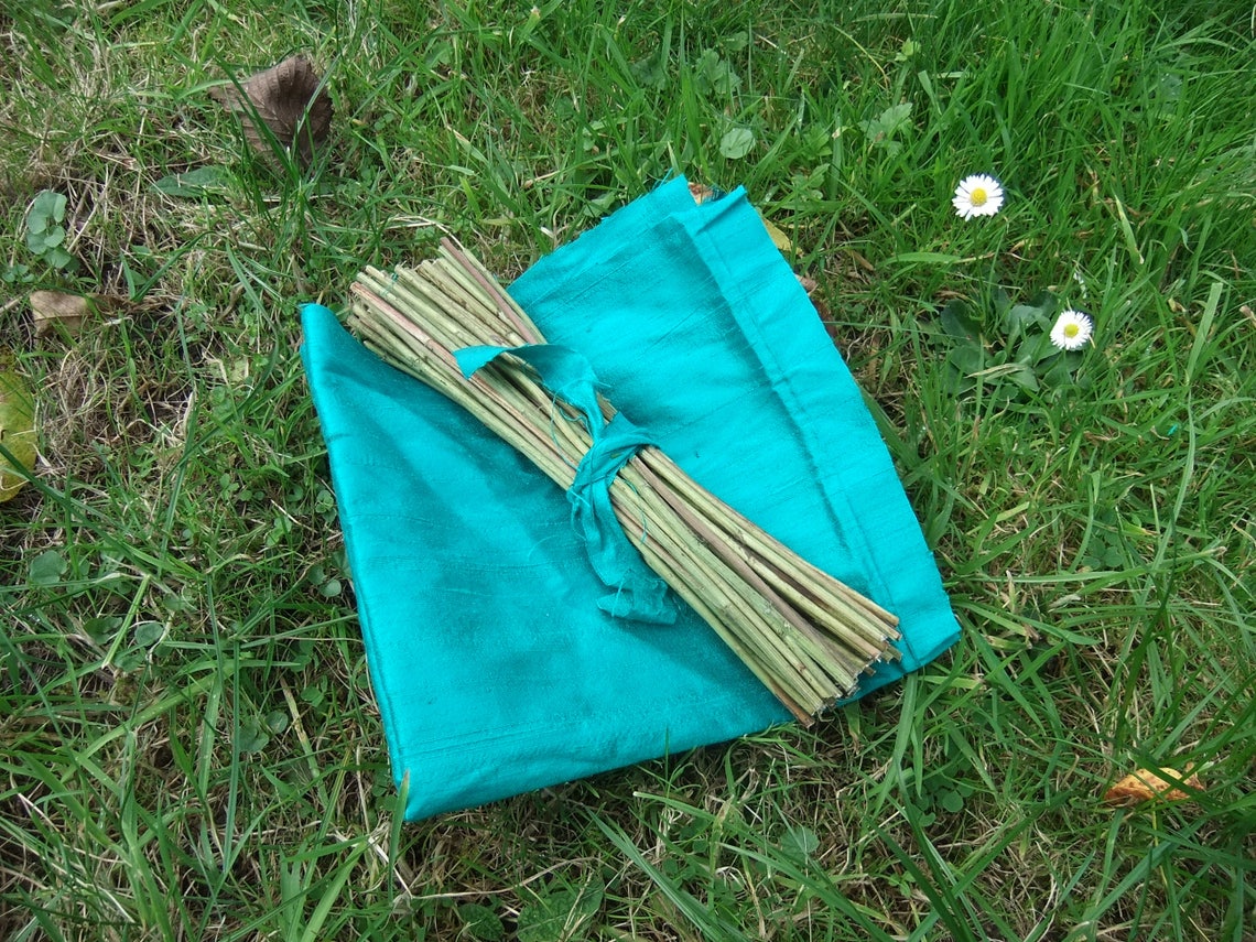 50 Yarrow Stalks Stems Sticks for I Ching Chinese Divination 9 Inch ...