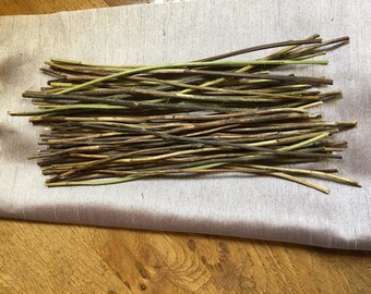 50 Yarrow Stalks for Traditional Chinese I Ching Divination 9 Long ...