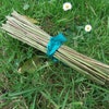 50 Yarrow Stalks Stems Sticks for I Ching Chinese Divination 9 Inch ...