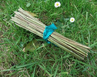 Yarrow Stalks, I Ching, Dried Yarrow, Yarrow Sticks. - Etsy