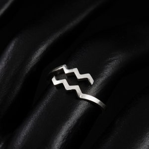 Zodiac Symbols Rings, Astronomy Sign, Signs of the Zodiac, Aquarius ...