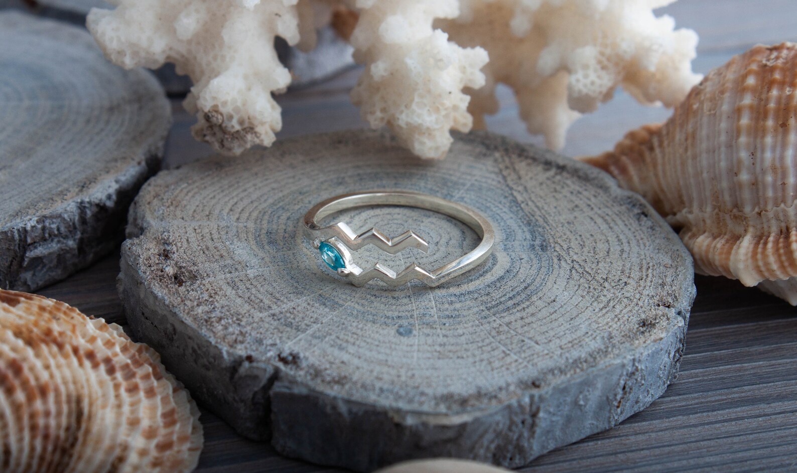 Zodiac Symbols Rings Astronomy Sign Signs of the Zodiac - Etsy