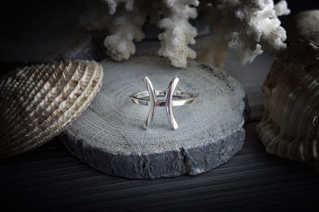 Pisces Ring, Zodiac Symbols Rings, Astronomy Sign, Signs of the Zodiac ...