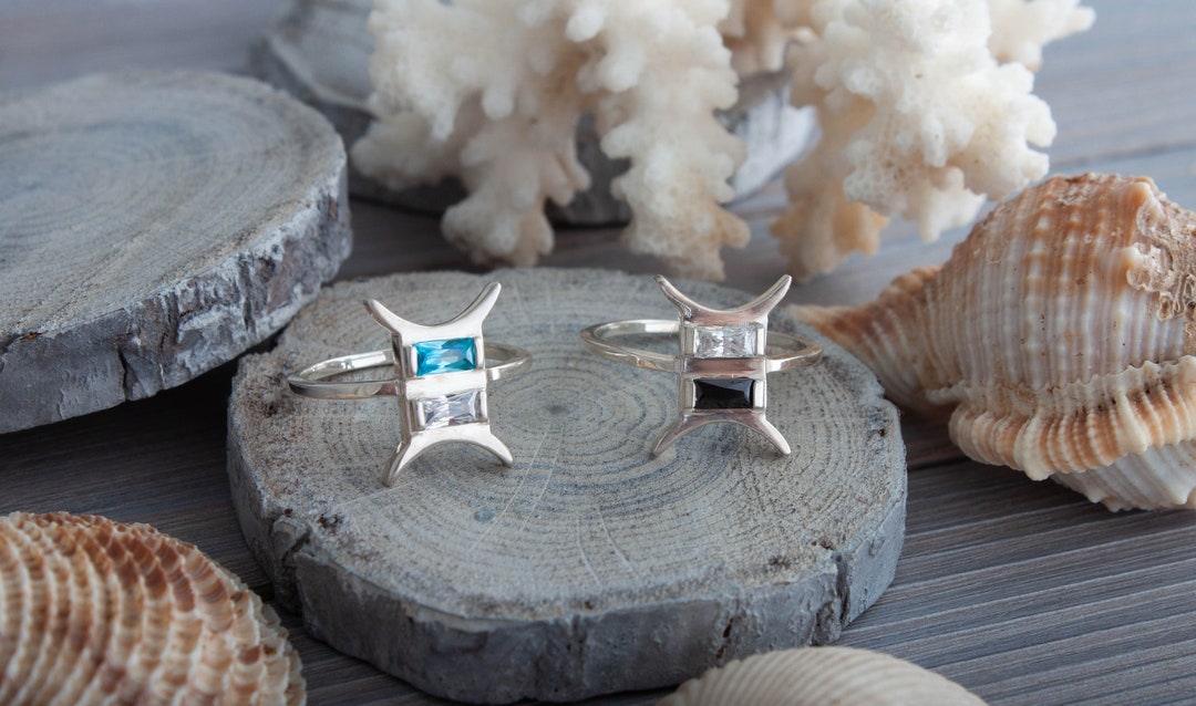 Zodiac Symbol Rings, Astronomy Sign, Signs of the Zodiac, Gemini Ring ...