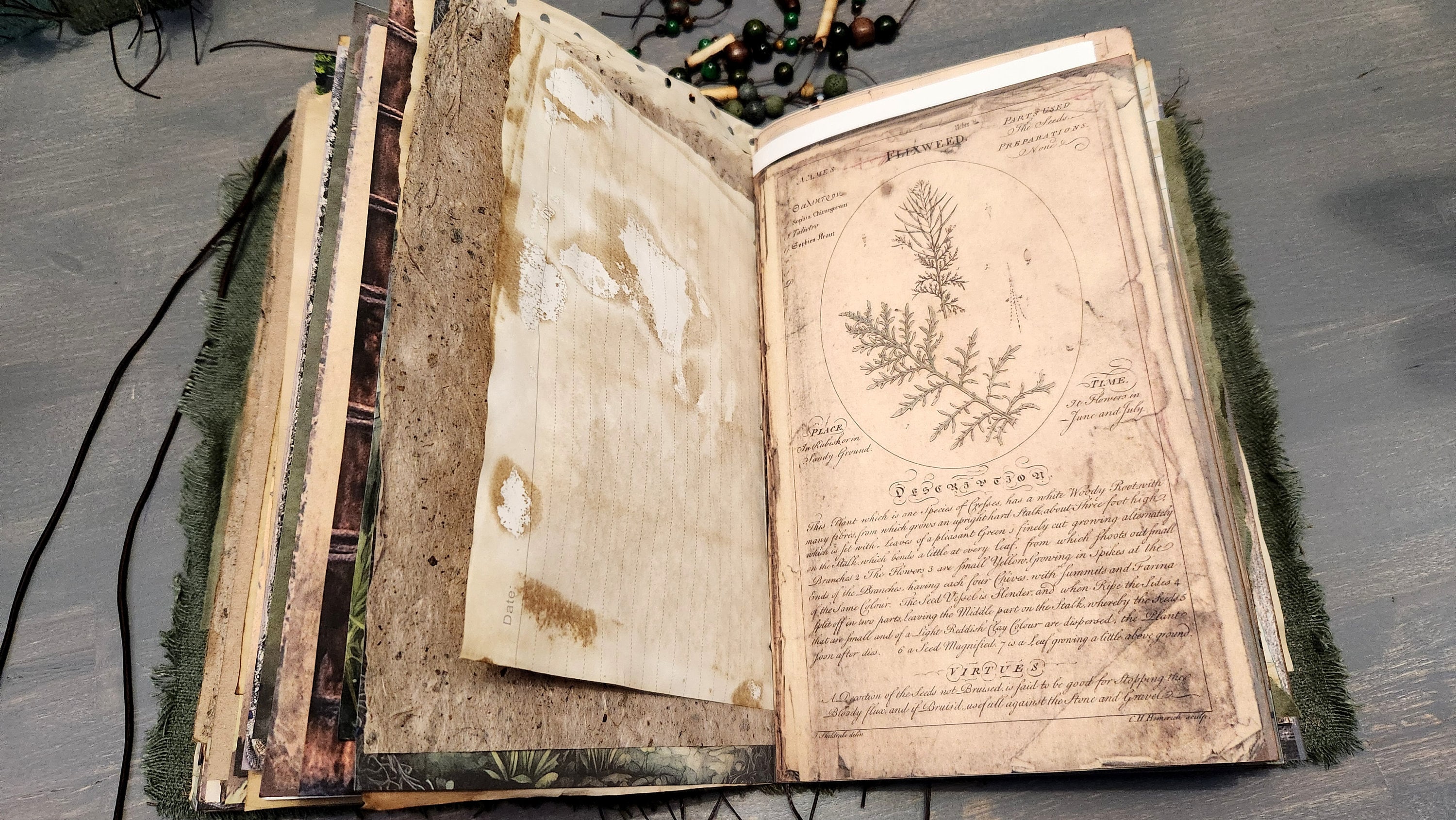 Grungy Nature Junk Journal Hedgehog Undecorated - Etsy