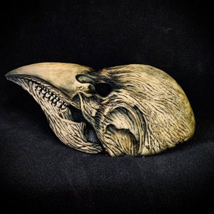 Plague Doctor Reaper Mask Bird Skull With Movable Jaw - Etsy