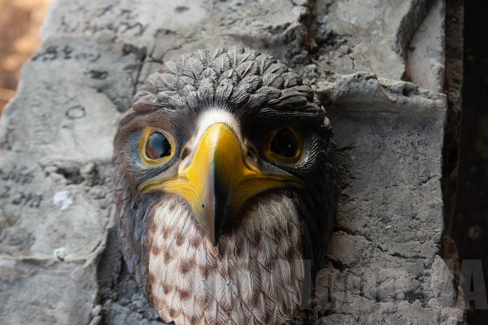 Bird's Mask for Cosplay or Carnival Mask Falcon | Etsy