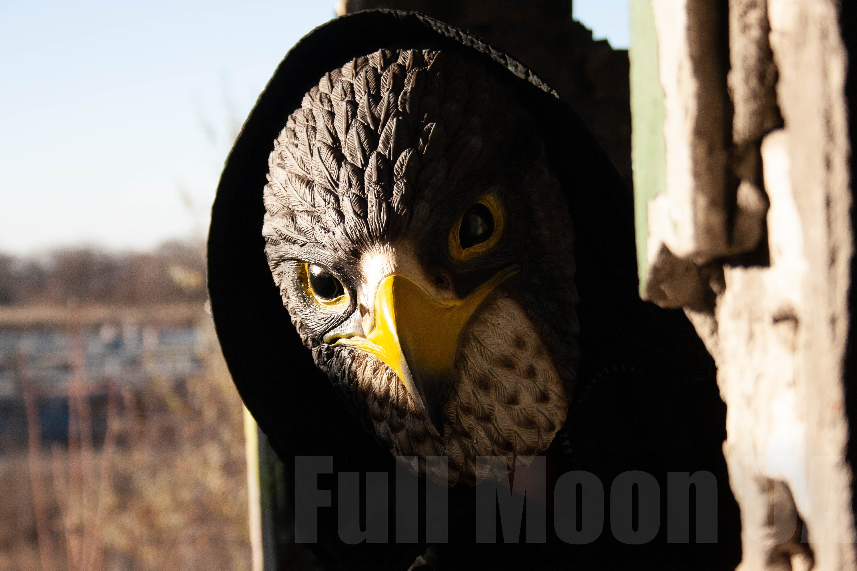 Bird's mask for cosplay or carnival mask Falcon | Etsy