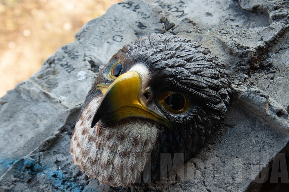 Bird's mask for cosplay or carnival mask Falcon | Etsy