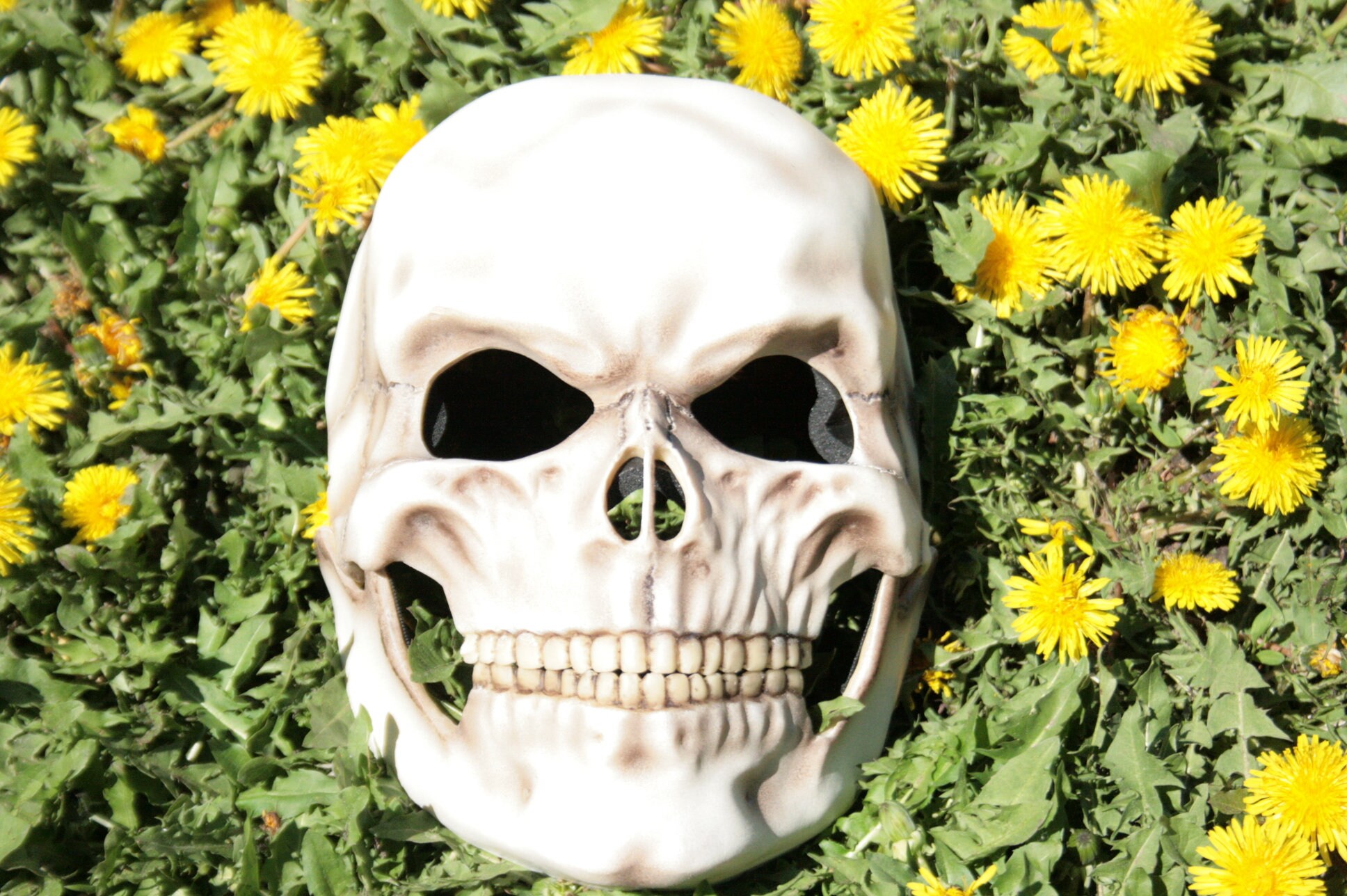 Mask Human Skull Mask Full Face With Realistic and Bone - Etsy