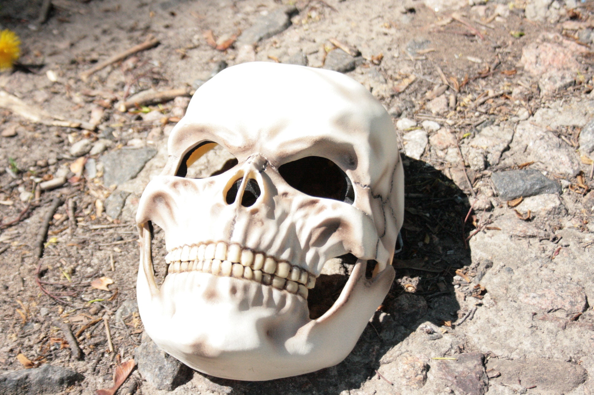 Mask Human Skull Mask Full Face With Realistic and Bone - Etsy