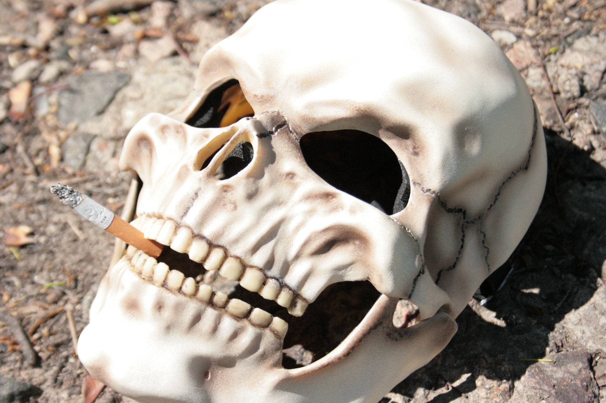 Mask Human Skull Mask Full Face With Realistic and Bone - Etsy