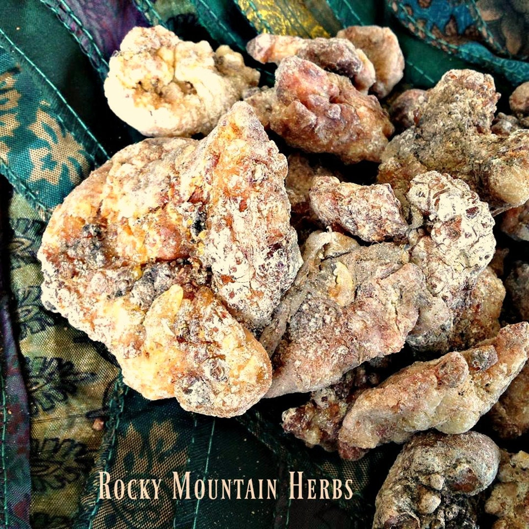 Wild Harvested, Pinyon Pine Sap, 8 Oz. Pinyon Pine, Pinon Pine, Pine ...