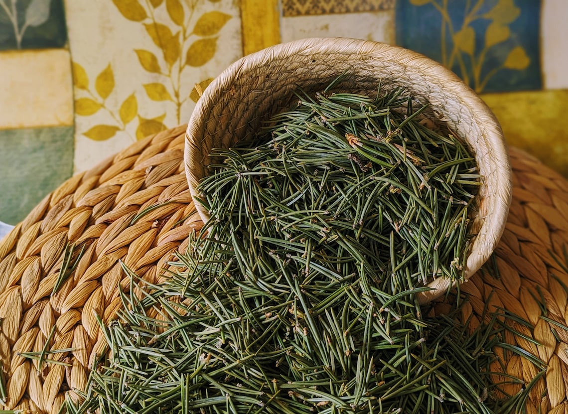 16oz Wild Harvested Pinyon Pine Needles, Pinion Pine, Pinyon Pine Tea ...