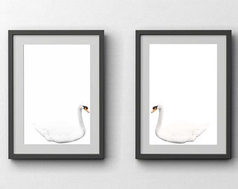 Swan print | Etsy