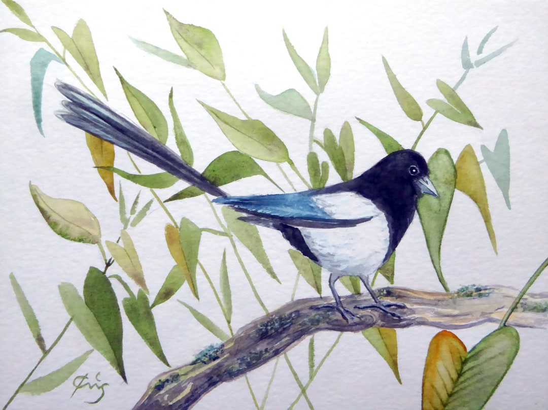 Original Hand-painted Watercolor the Guardian Magpie - Etsy