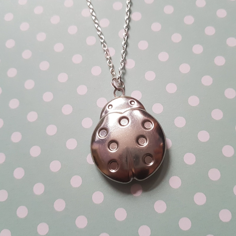 Locket Ladybug Necklace - Etsy