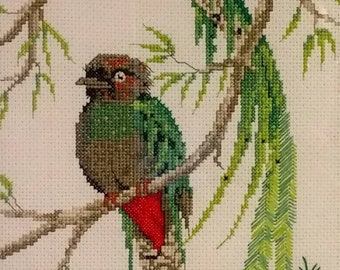 Resplendent Quetzal Counted Cross Stitch Patterns Printable Chart PDF ...