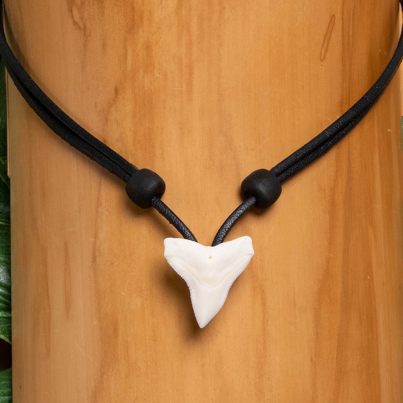 Shark Tooth Necklace - Etsy