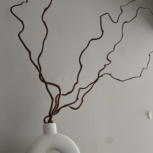 Contorted Willow, Natural Corylus, Twisted Hazel 60cm. - Etsy UK