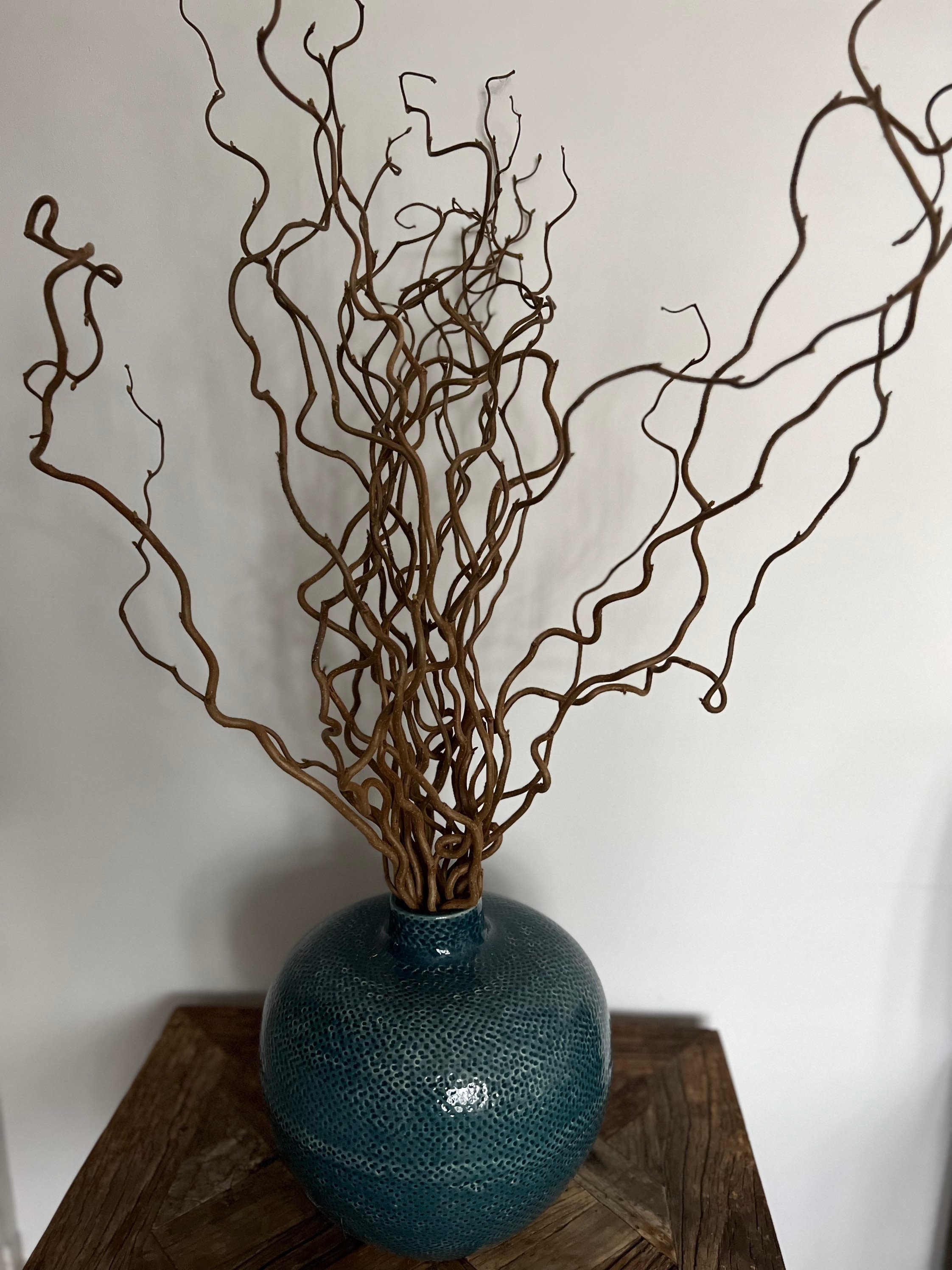 Contorted Willow Natural Corylus Twisted Hazel 60cm. - Etsy UK