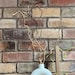Contorted Willow, Natural Corylus, Twisted Hazel 60cm. - Etsy UK