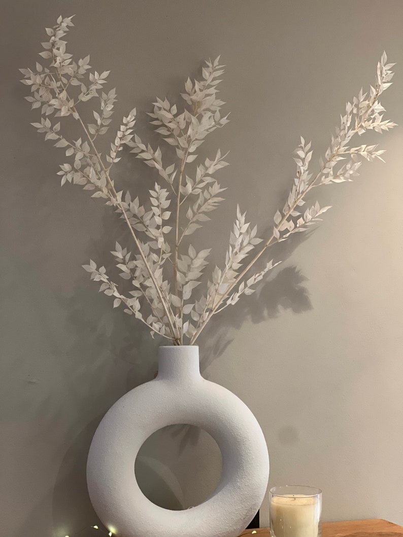 Dried Bleached Ruscus. Preserved Bleached White Ruscus. Dried - Etsy UK