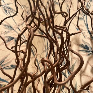Contorted Willow, Natural Corylus, Twisted Hazel 60cm. - Etsy UK