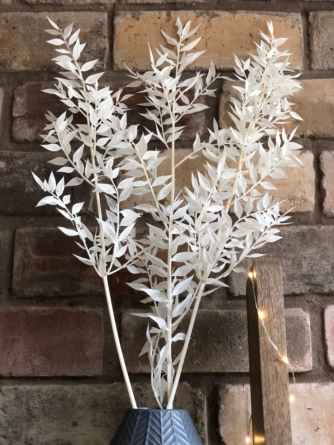 Dried Bleached Ruscus. Preserved, Bleached White Ruscus. Dried Flowers ...