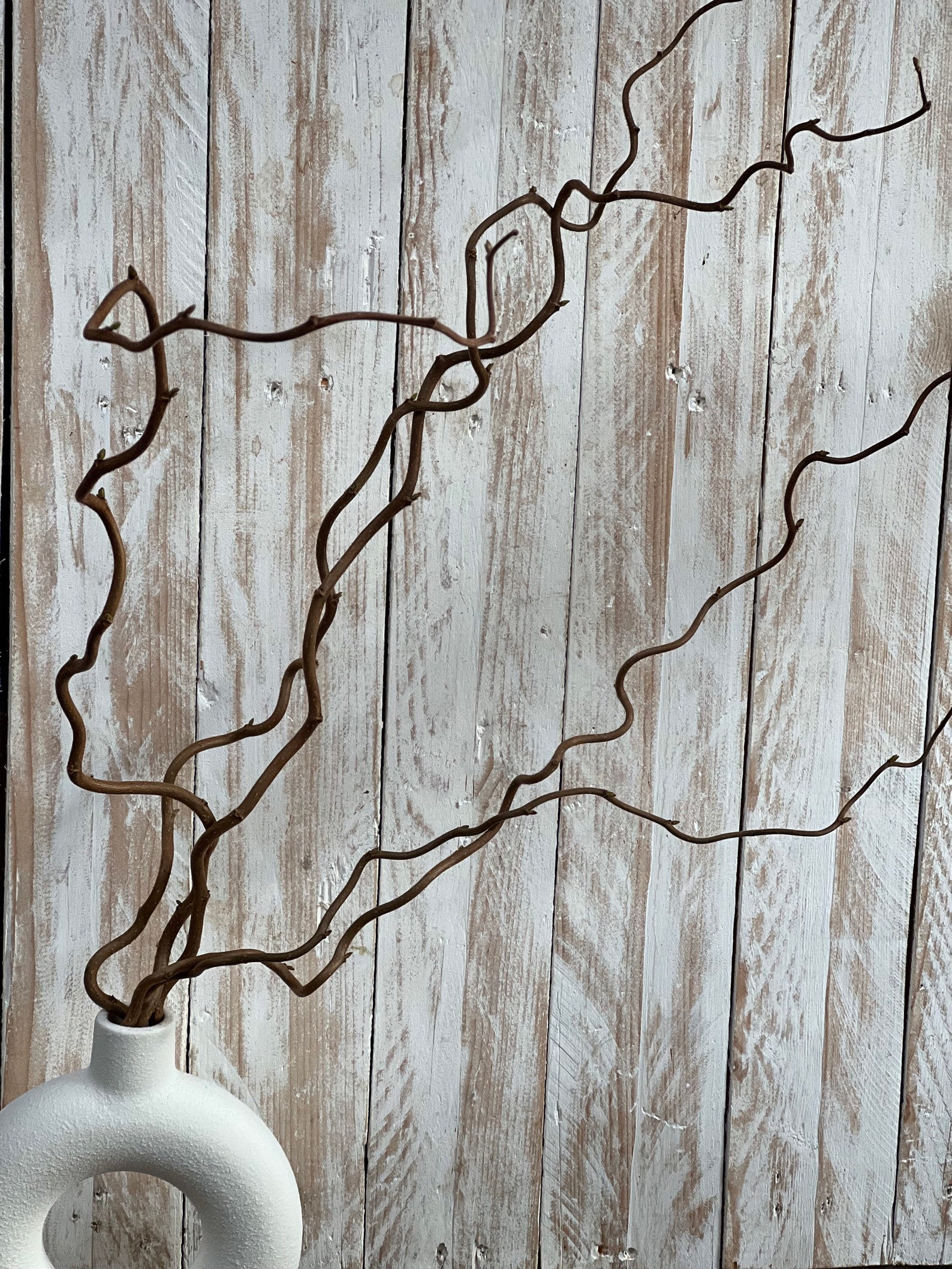 Contorted Willow Natural Corylus Twisted Hazel 60cm. - Etsy UK