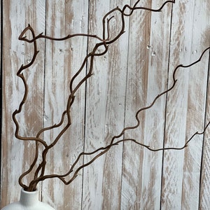 Contorted Willow, Natural Corylus, Twisted Hazel 60cm. - Etsy UK
