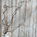 Contorted Willow, Natural Corylus, Twisted Hazel 60cm. - Etsy UK