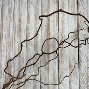 Contorted Willow, Natural Corylus, Twisted Hazel 60cm. - Etsy UK
