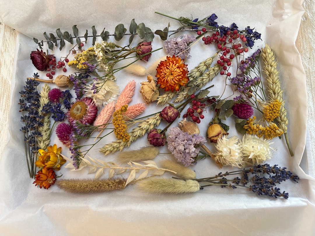 Dried Flower Craft Box: Florist's Choice for Card Making & Decor - Etsy