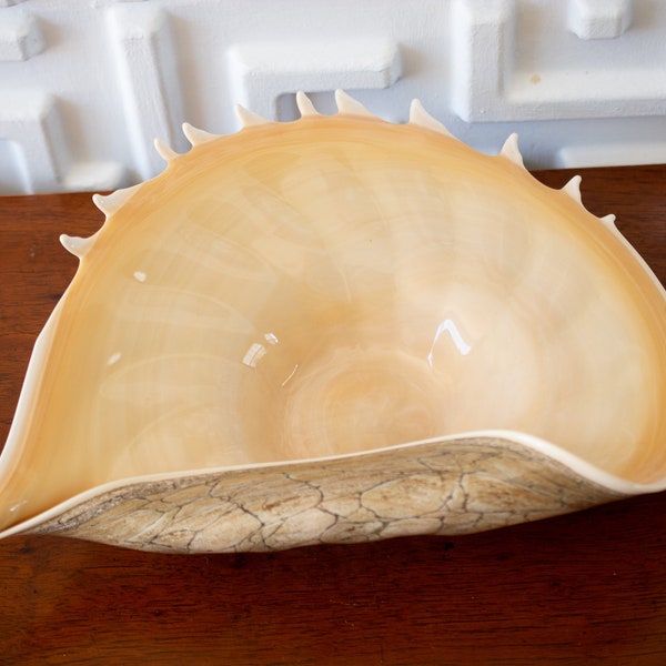 Art Glass Shells - Etsy