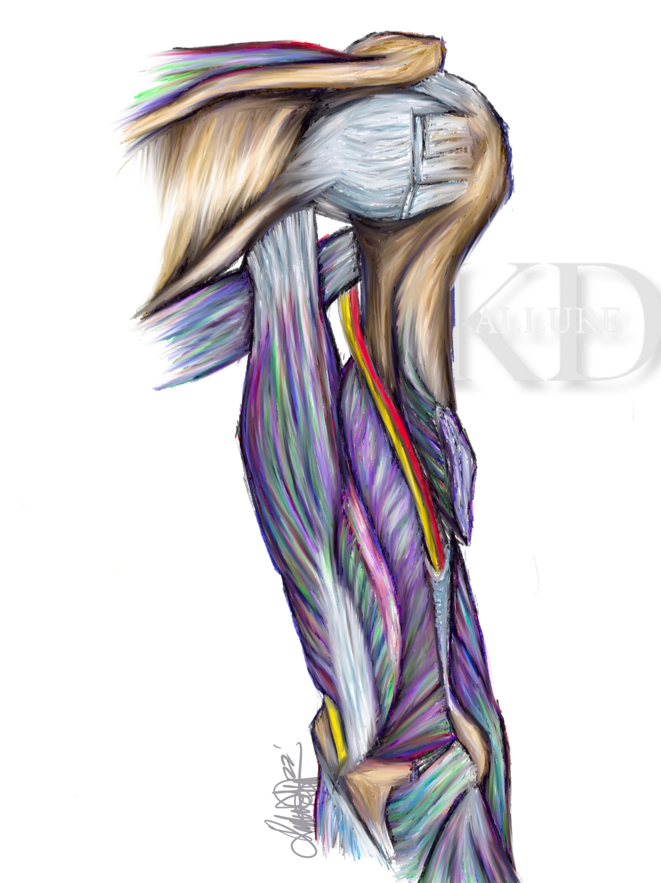 Muscles of Arm, Posterior View, Deep Layer-vibrant Colors,digital Hand ...