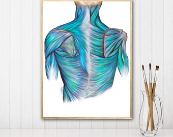 Spine 3 Views Minimal Anatomical Line Anatomy Drawing Minimalist Human ...