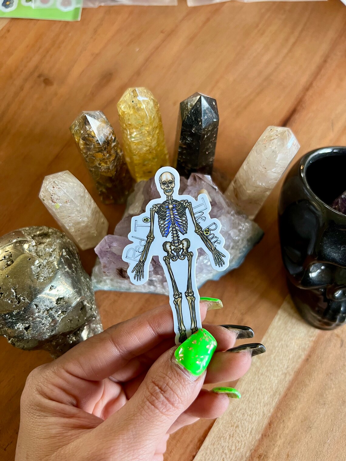 Anatomy Sticker, Holographic Rad to the Bone, Skeletal System X-ray ...