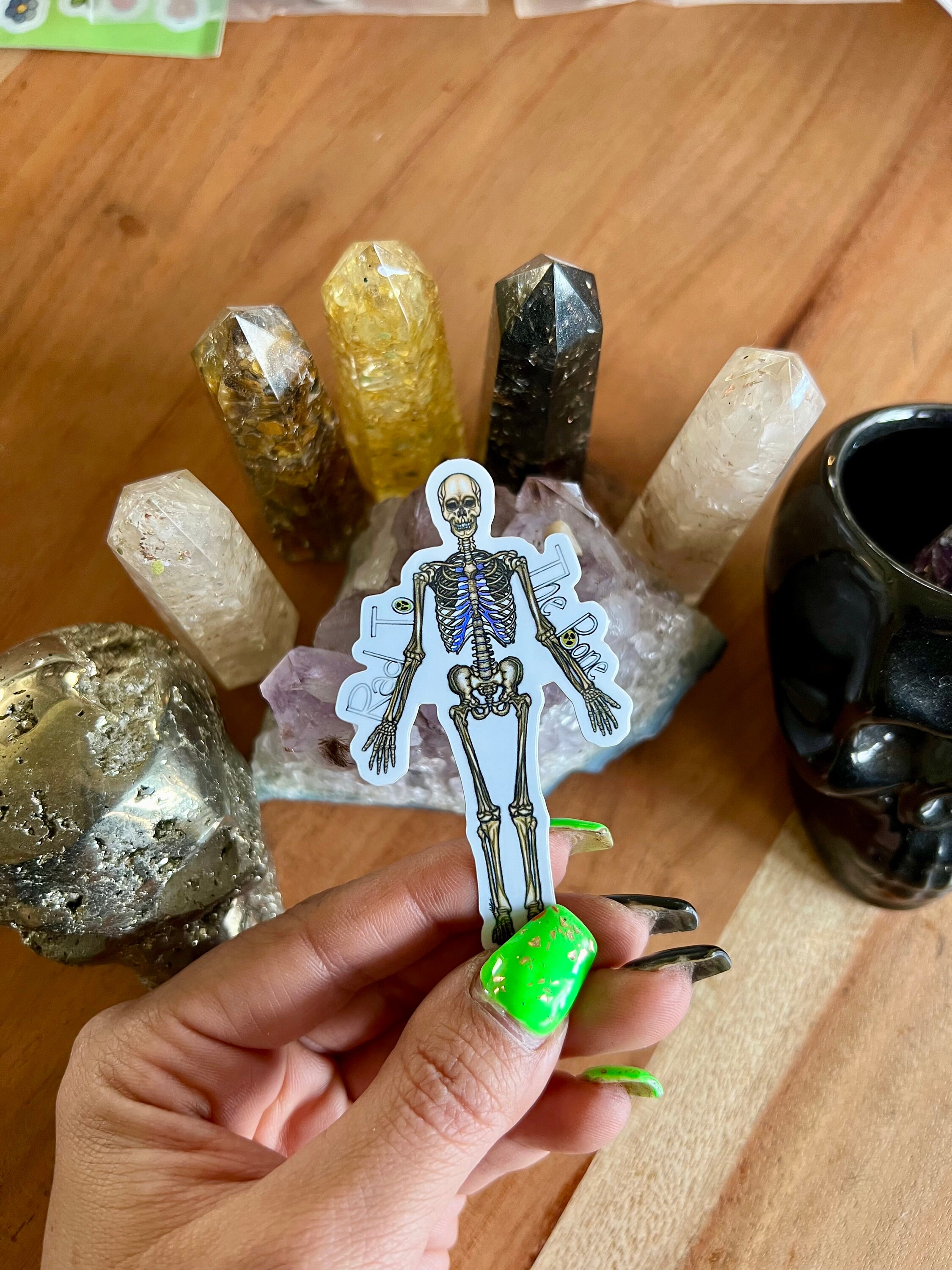 Anatomy Sticker, Holographic - Rad to the Bone, Skeletal System X-ray ...