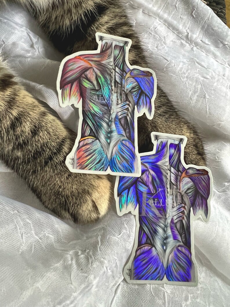 Anatomy Sticker, Holographic - Anatomy Surface of Back, Handdrawn ...