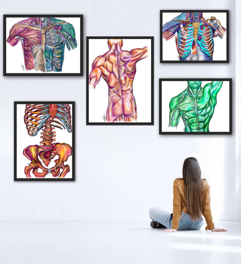 Set of 5 Anatomy PRINTS, Digital Drawings, Vibrant Color, Medical Art ...