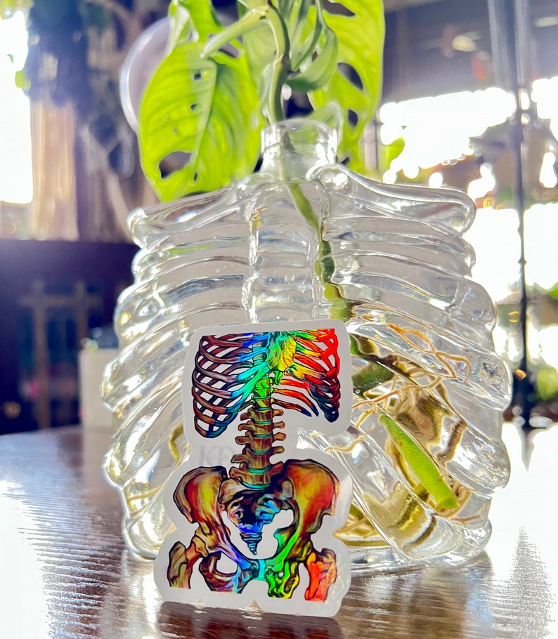 Anatomy Sticker Stickers - Bony Framework of Thorax, Holographic ...