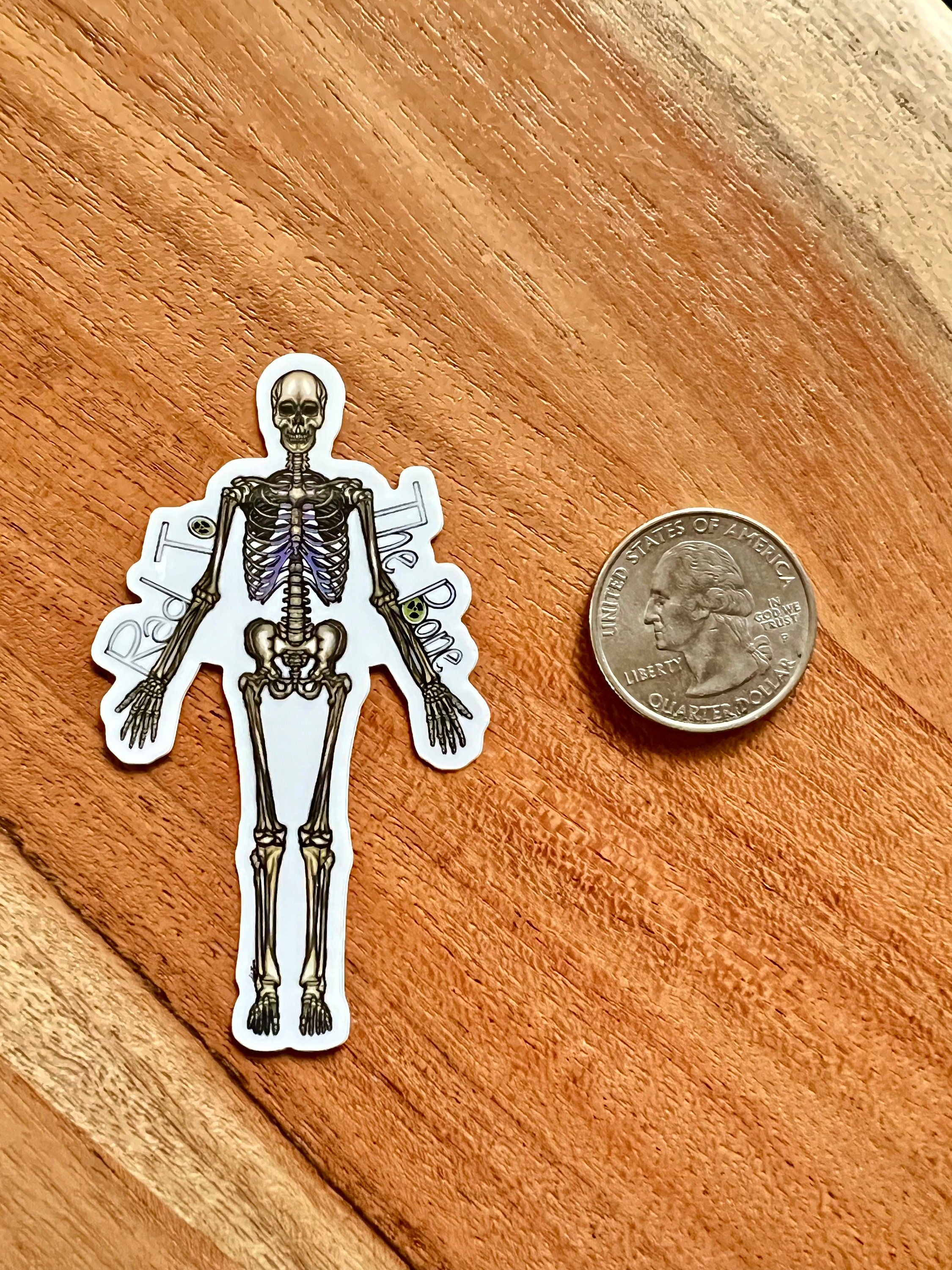 Anatomy Sticker, Holographic - Rad to the Bone, Skeletal System X-ray ...