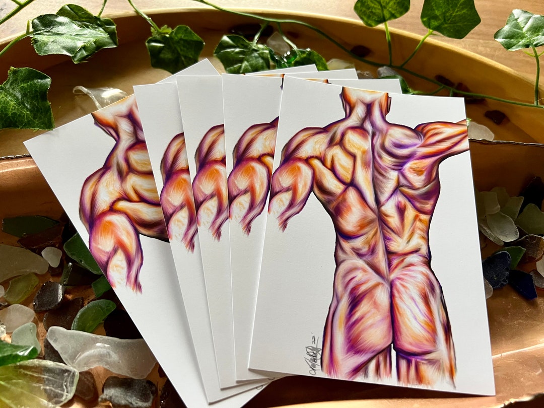 4 X 6 Anatomy Notecard Print Set of 5 Thank You Note, Medical Gift ...