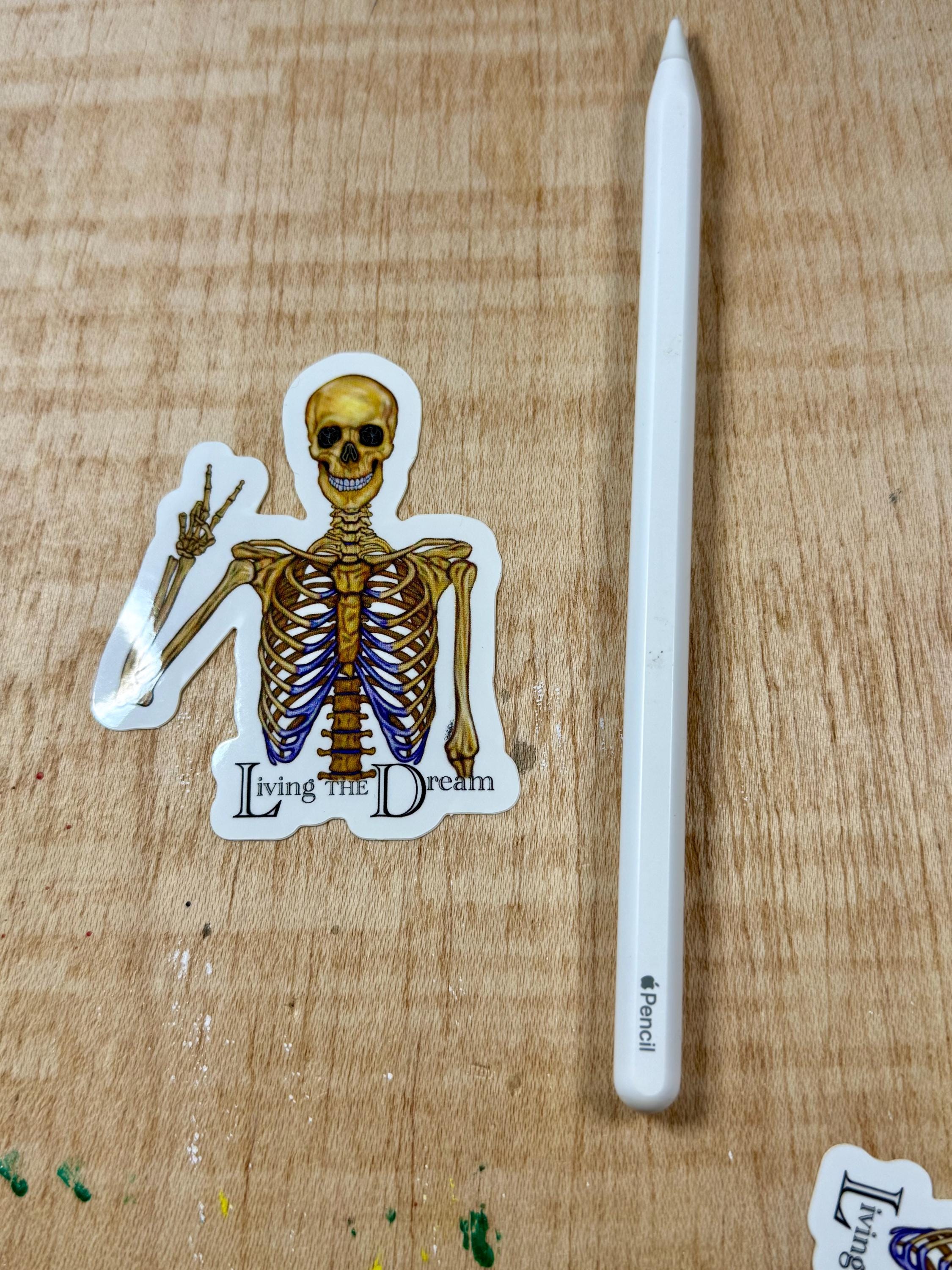 Anatomy Sticker Vinyl Anatomical Handdrawn Peace Sign Skeleton ...
