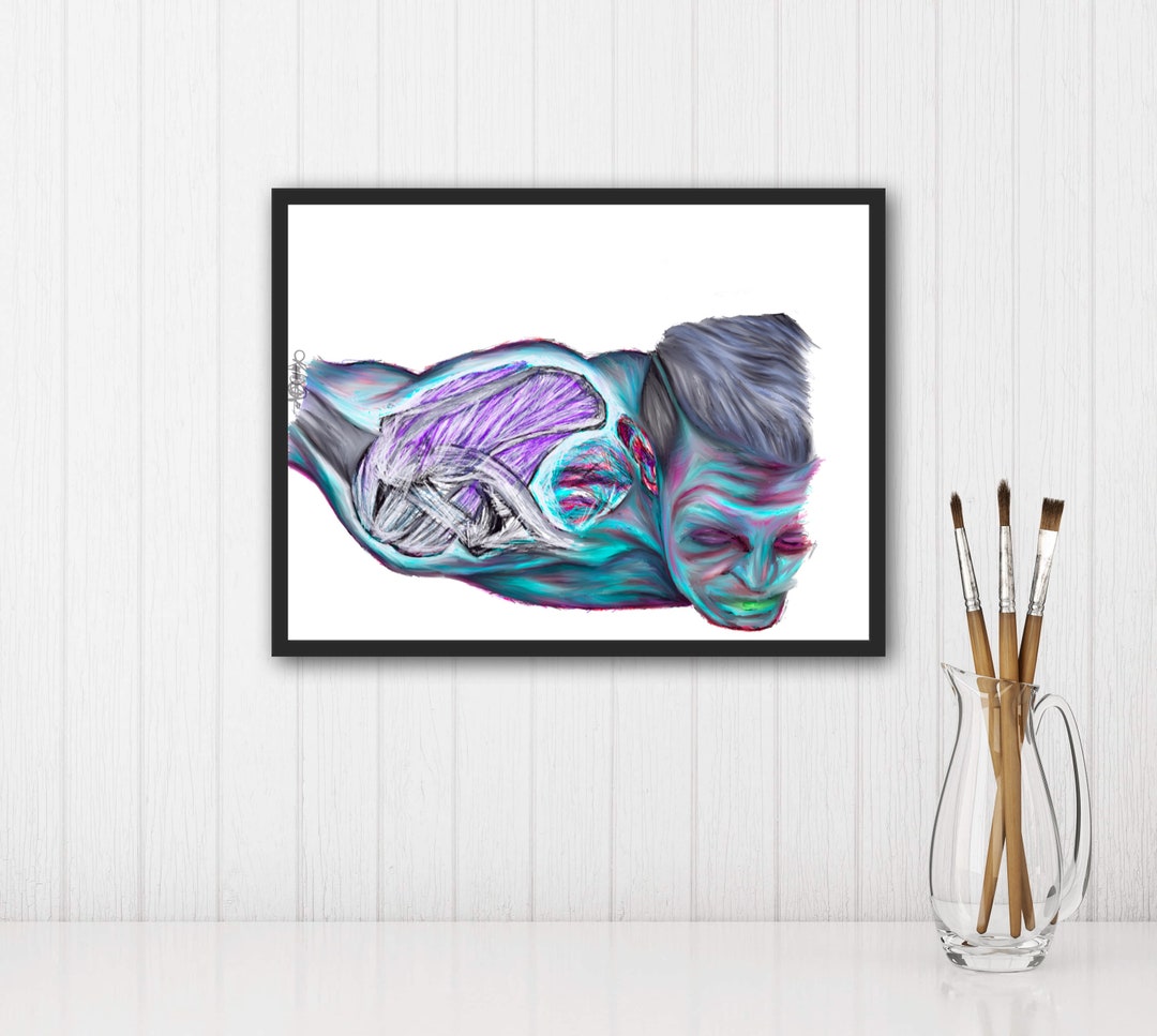 Top View of Rotator Cuff-vibrant Colors,digital Hand Drawn Art, iPad ...